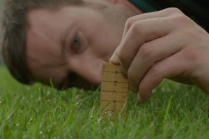 L'Atélophobie | ::: Chantal MAILLE ::: Psychanalyste