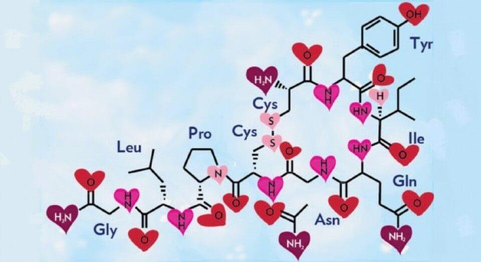 Eight Ways to Increase Oxytocin In Your Body | ::: Chantal MAILLE ...