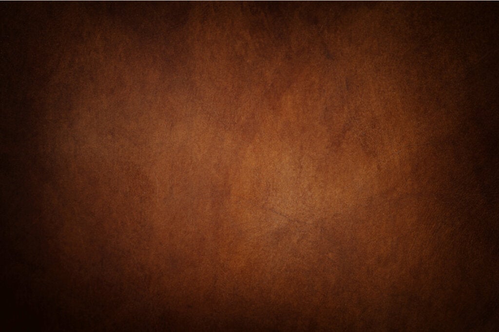 Que signifie la couleur marron en psychologie ? | ::: Chantal MAILLE ...