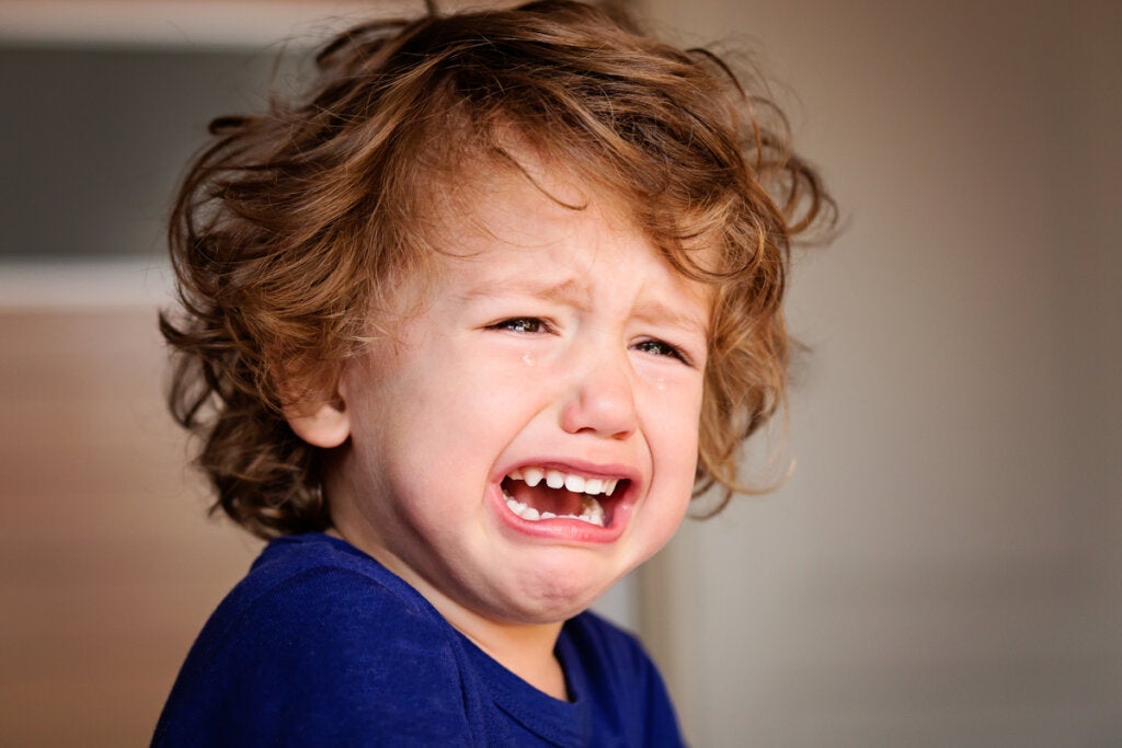 Neuroscience Can Explain Children’s Bad Behavior | ::: Chantal MAILLE ...